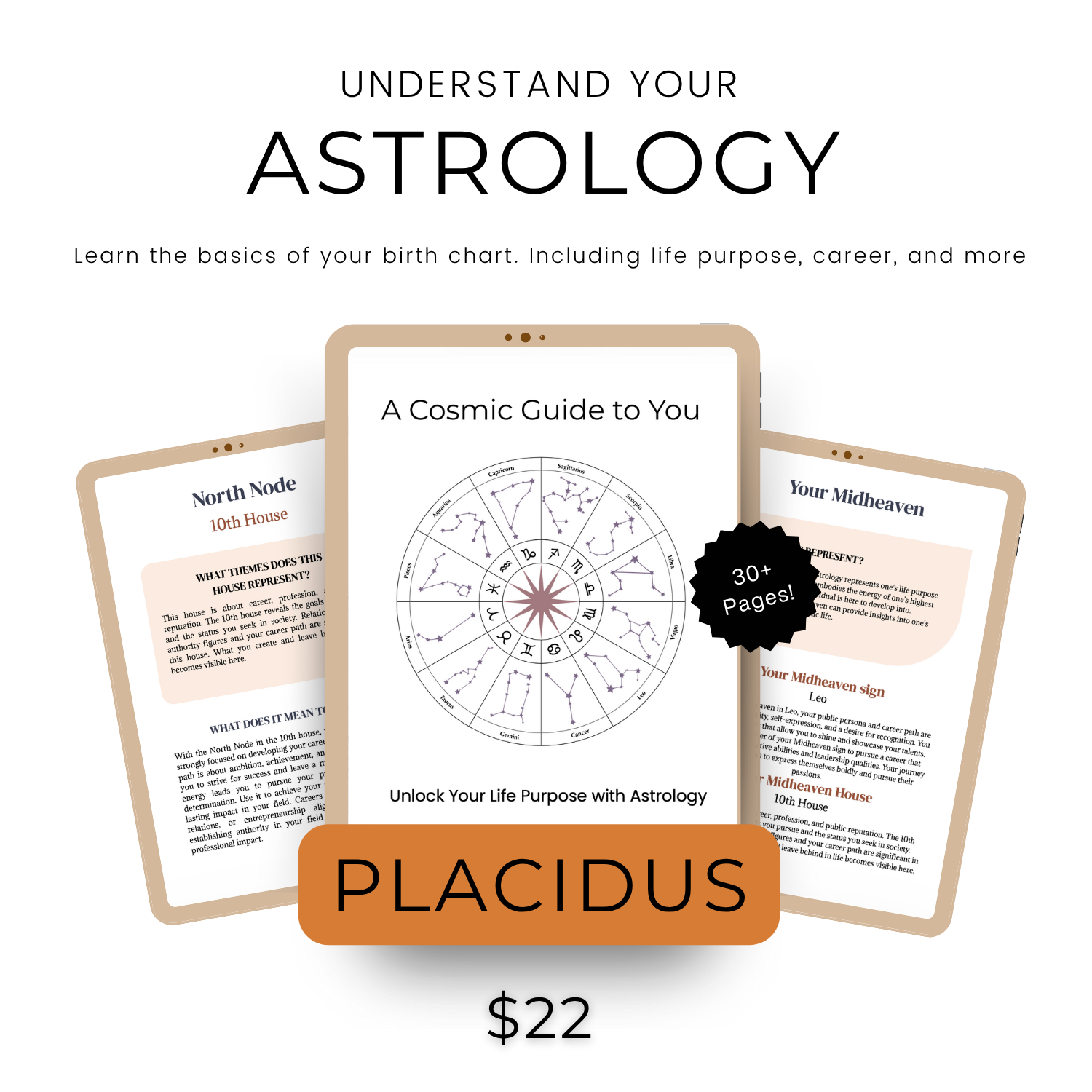 Unlock Your Life's Purpose - Astrology Report with Placidus House ...